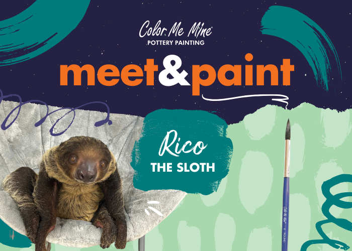 Color Me Mine Frankfort - IL • Paint Your Own Pottery Studio